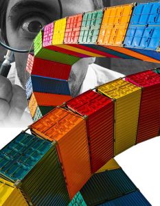 Shipment Customs Examination - e Customs Clearing